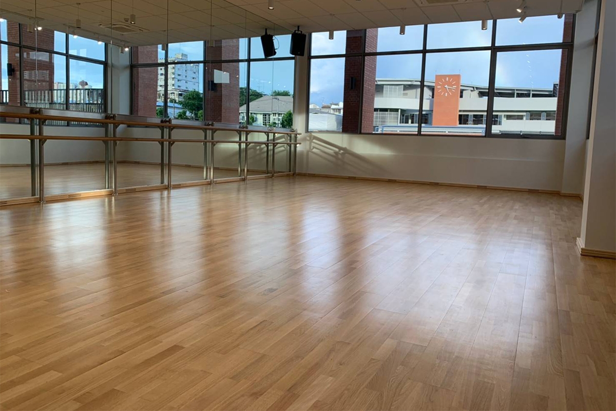 Haro Sports Eco Top2 Wooden Sprung Flooring System - SEARA Sports Systems